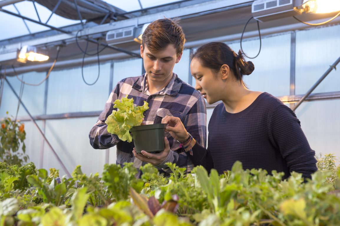 Sustainable Global Food Systems Minor – Department of Human Ecology