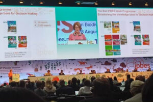 Department of Human Ecology